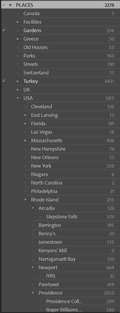 How to Craft a Lightroom Keyword Hierarchy | PetaPixel