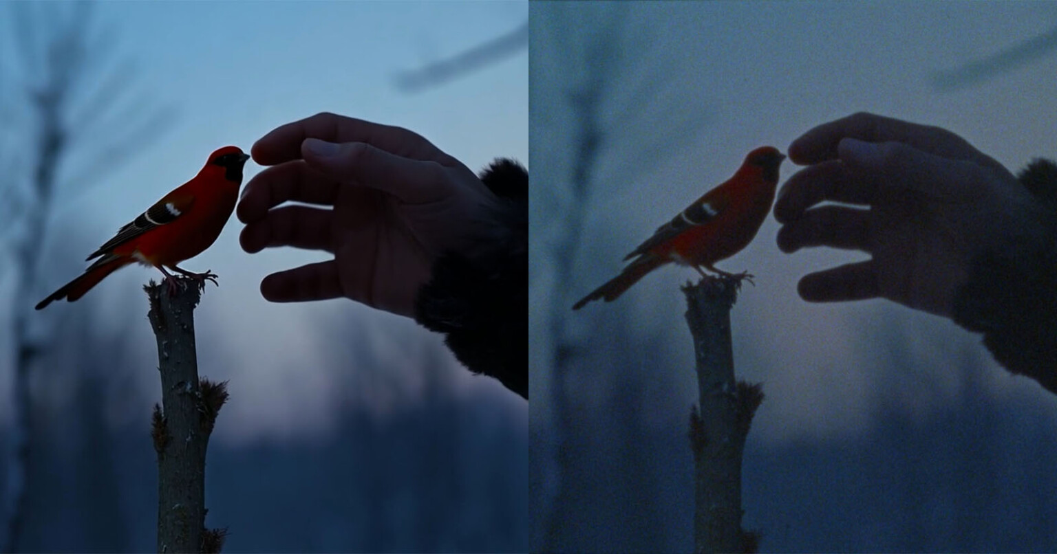 This is the First AI Video to be Transferred Onto Film | PetaPixel