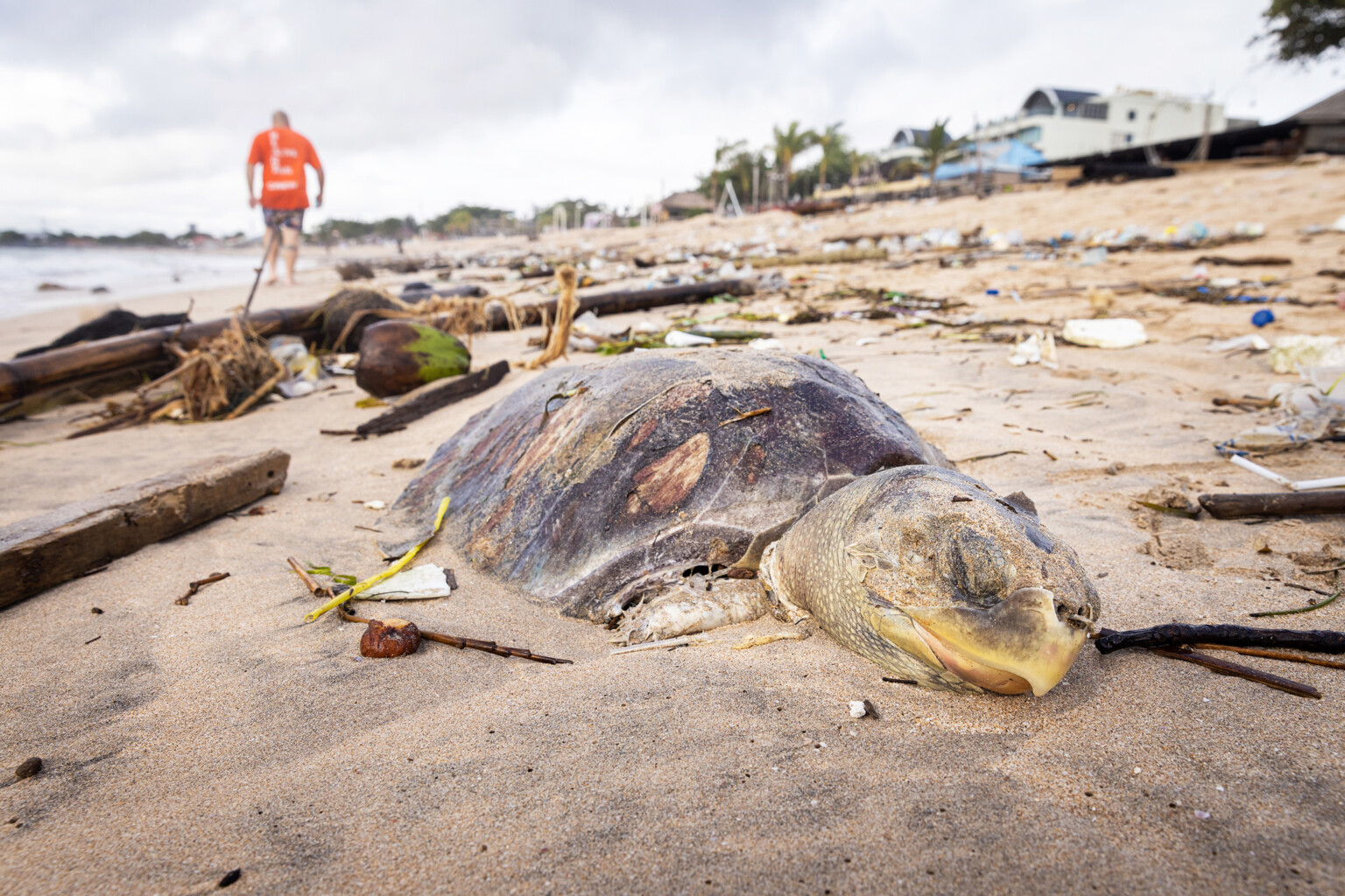 Photojournalist Wades Through Plastic Waste to Document Bali's ...