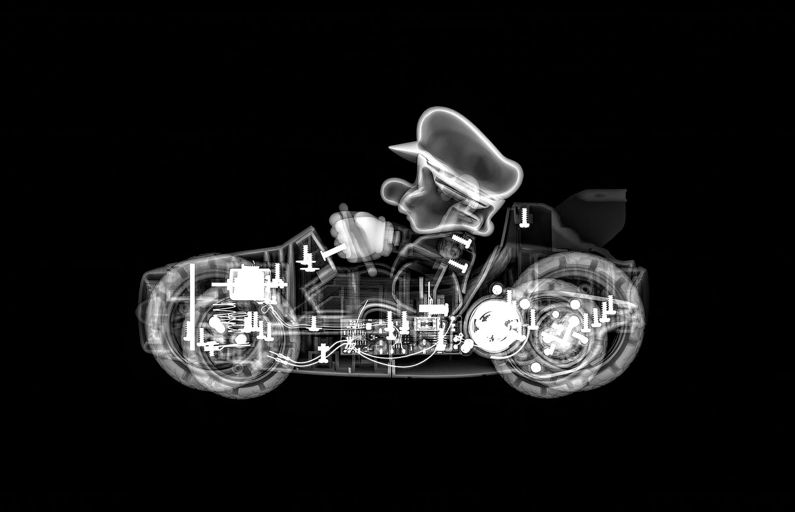 Photographer's Illuminating X-ray Exhibit Has Been Years in the Making ...