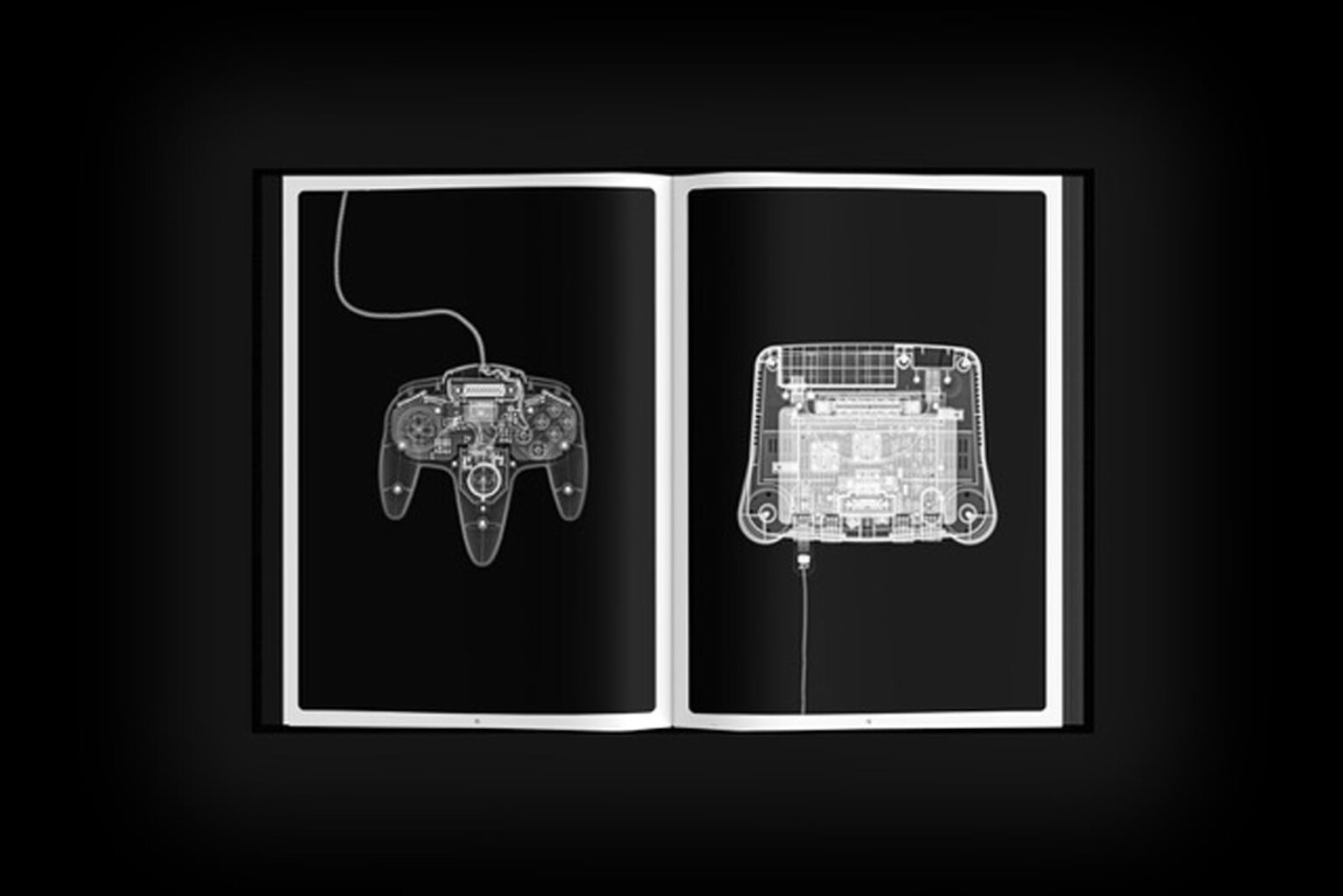 Photographer's Illuminating X-ray Exhibit Has Been Years in the Making ...