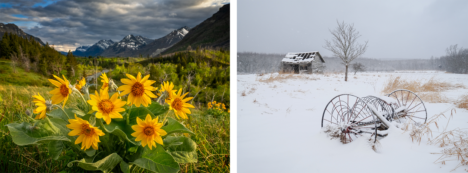 A Complete Guide to Capturing Creative Landscape Photography | PetaPixel