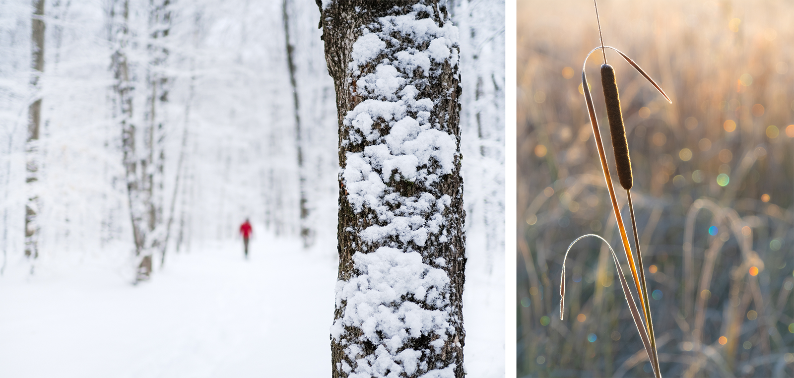 A Complete Guide to Capturing Creative Landscape Photography | PetaPixel