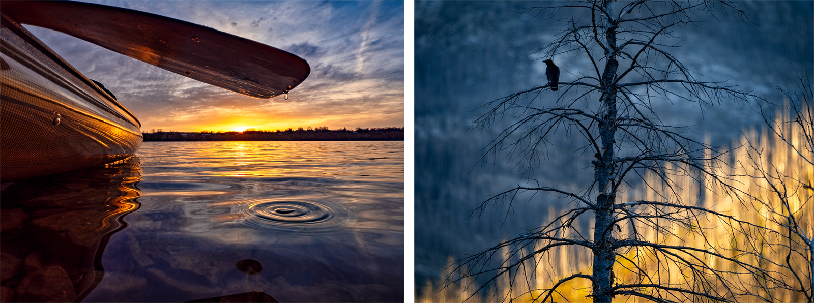 A Complete Guide to Capturing Creative Landscape Photography | PetaPixel