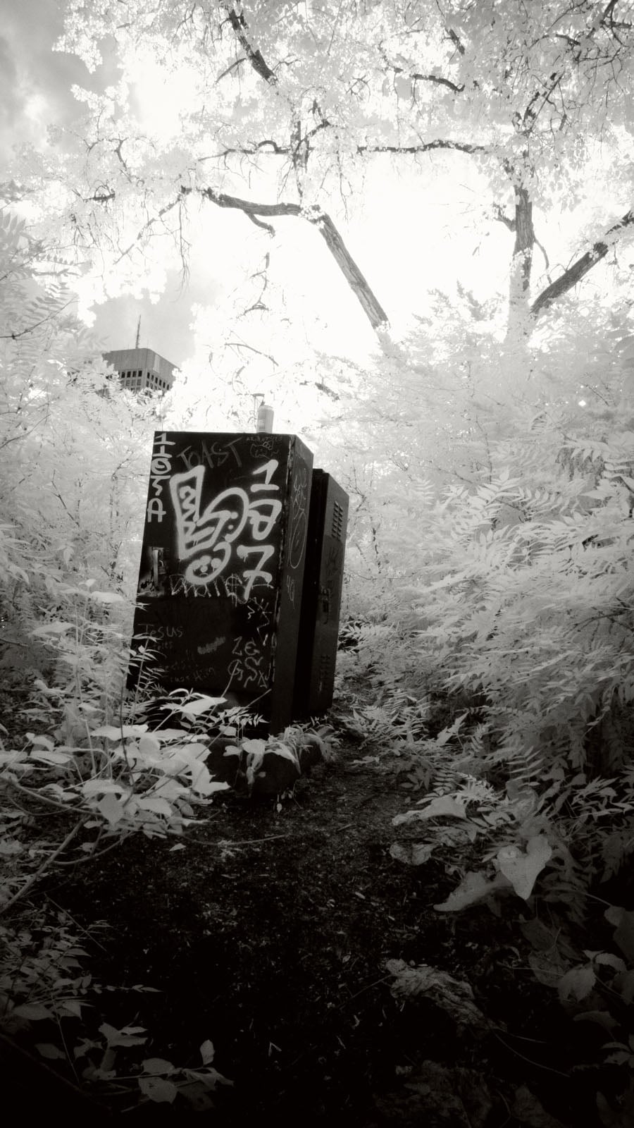 Photographer Converts Broken Film Camera Into a Compact Digital ...