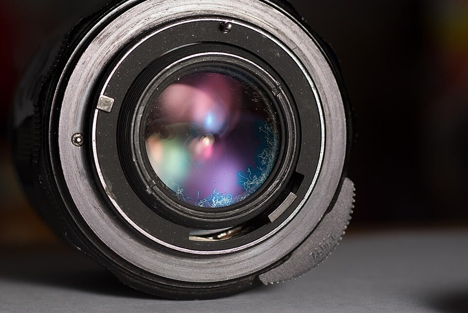 Lens Fungus: What It Is and How to Deal With It | PetaPixel