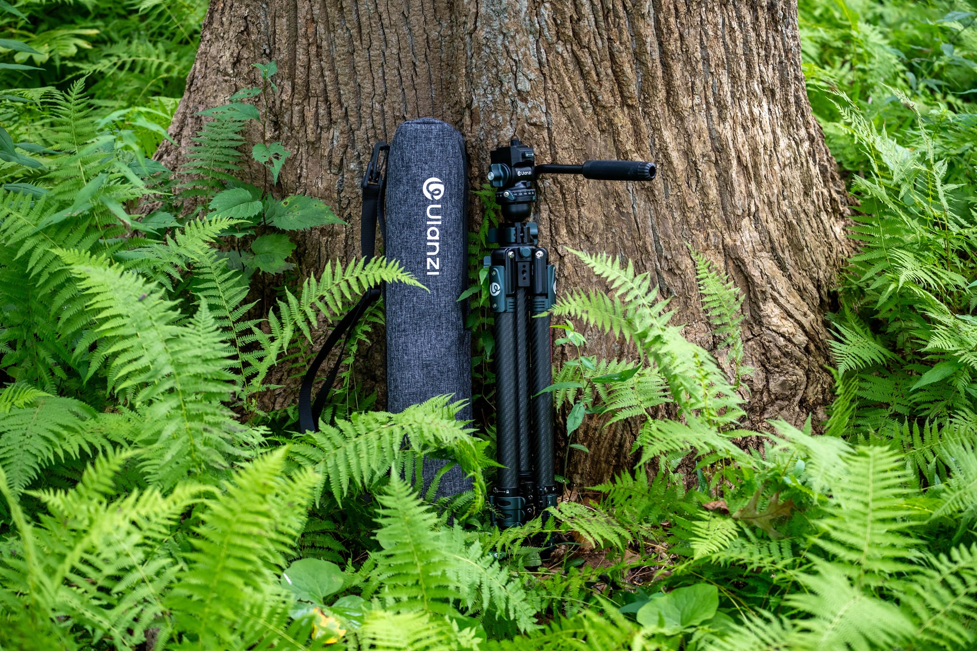 Ulanzi's New GlideGo Tripods Are Excellent for Photo and Video | PetaPixel