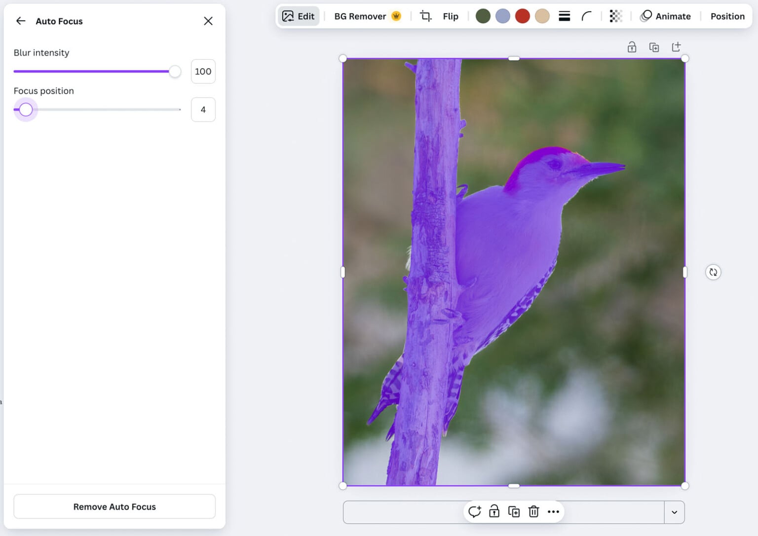 Canva Is Quickly Amassing a Collection of AI-Based Photo Editing Tools ...