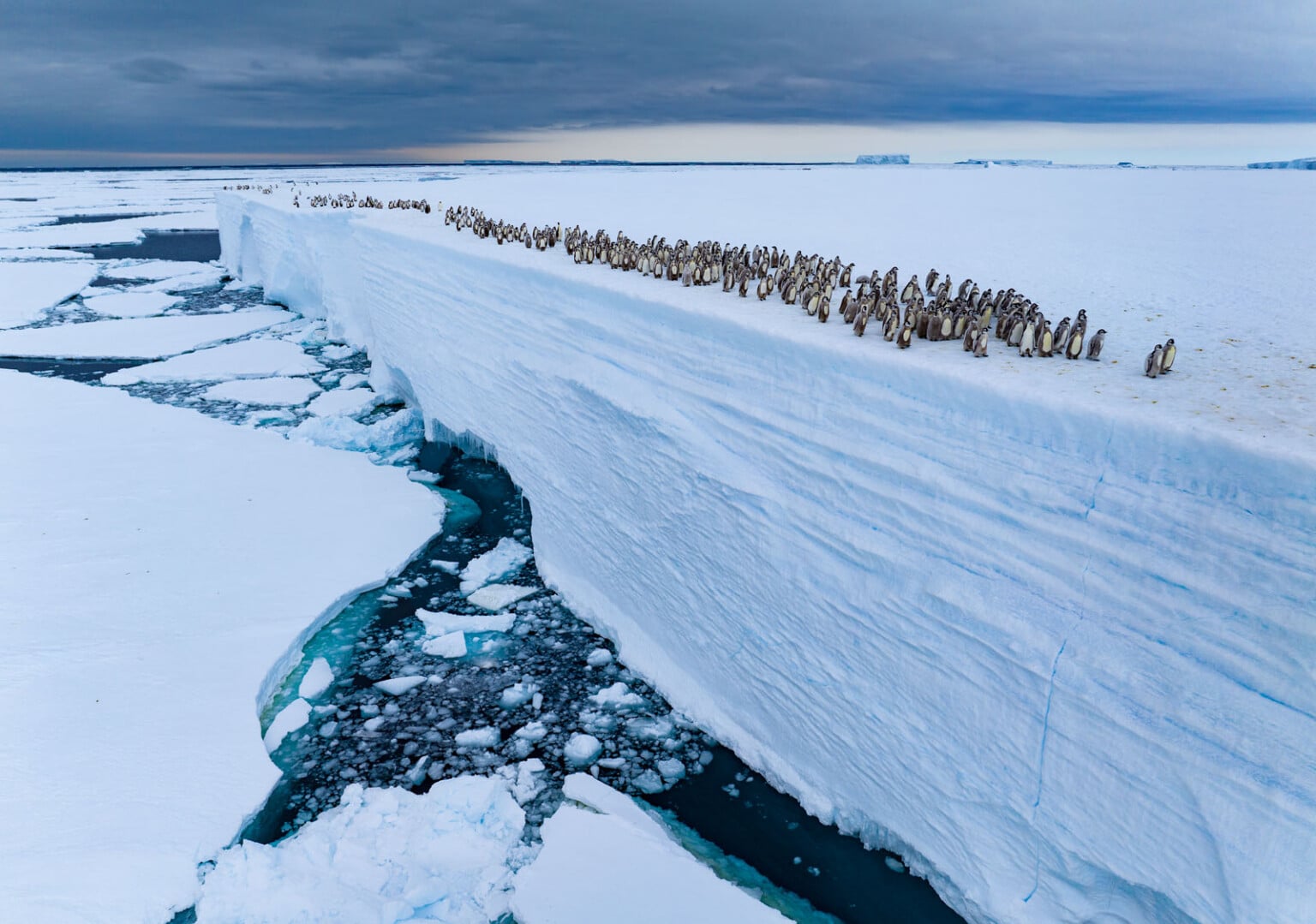 15 Breathtaking Photos From the 61st Wildlife Photographer of the Year ...