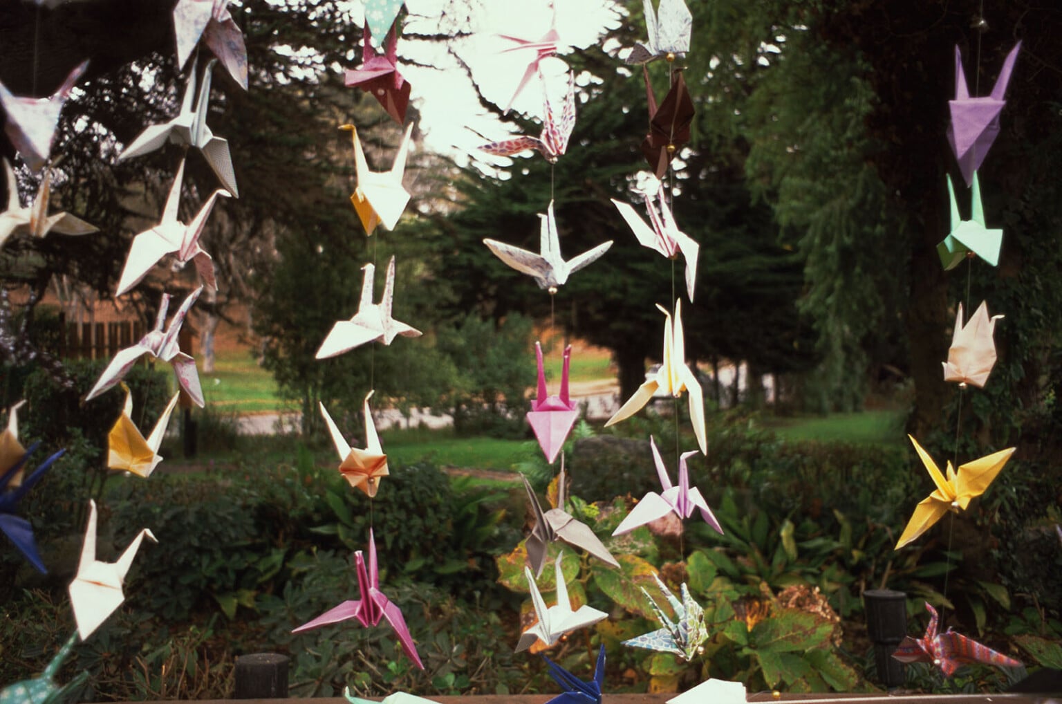 Sigma's First Camera: The Sigma Mark-I is a Rare, Lovable Little Tank ...