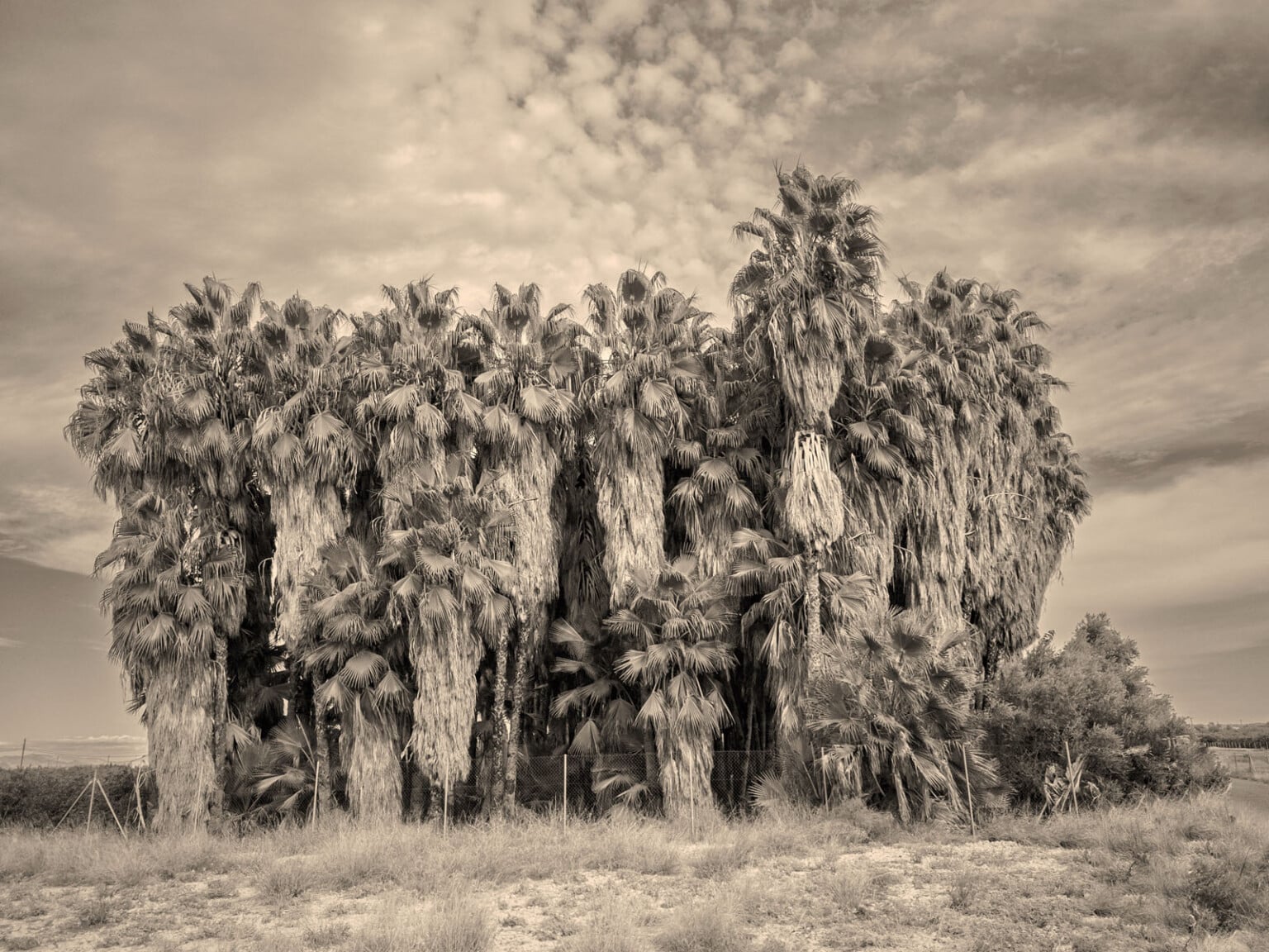 All 40 Breathtaking Winners From the 2025 iPhone Photography Awards ...