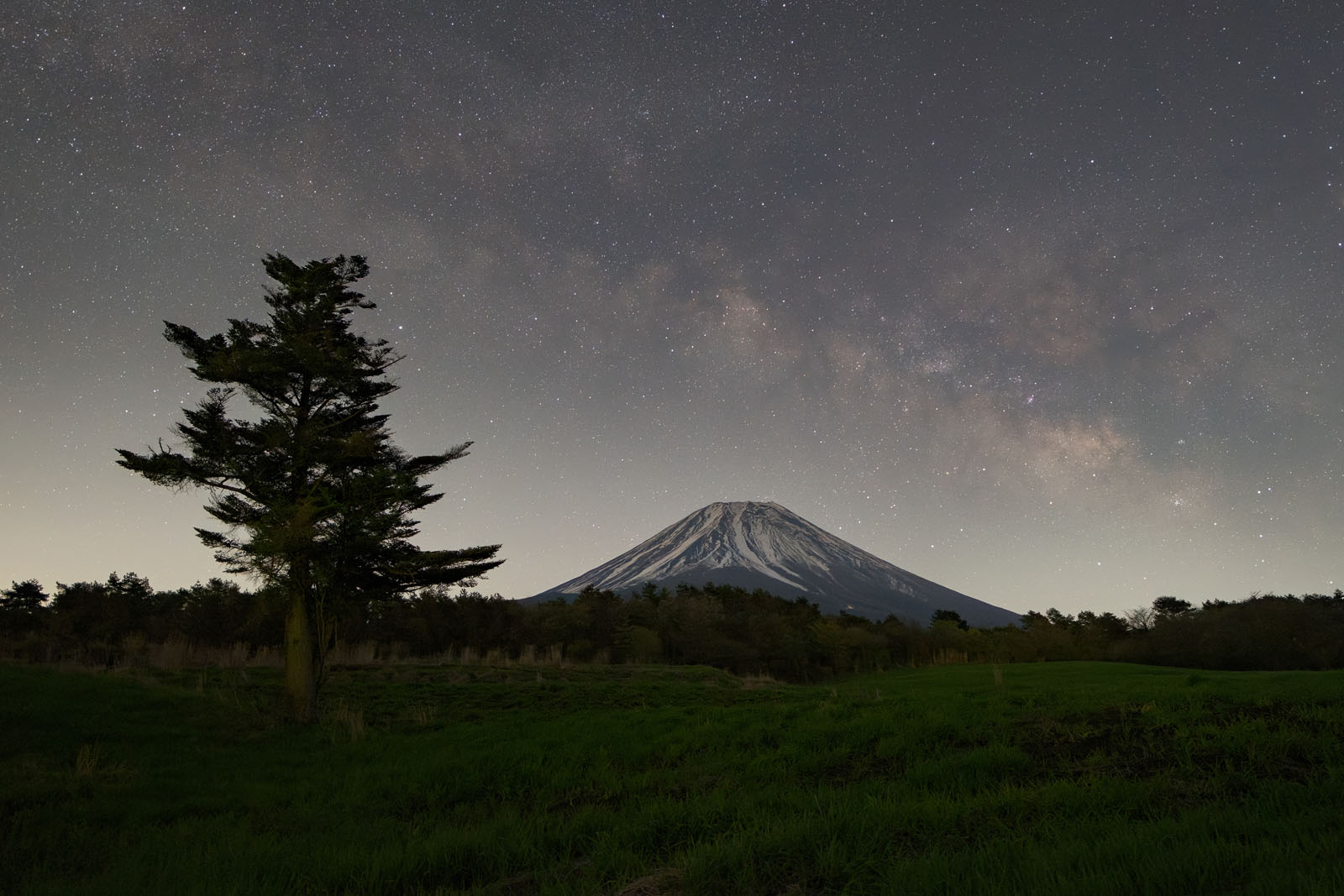 Sigma 12mm f/1.4 Is the Smallest and Lightest DC Contemporary Lens ...