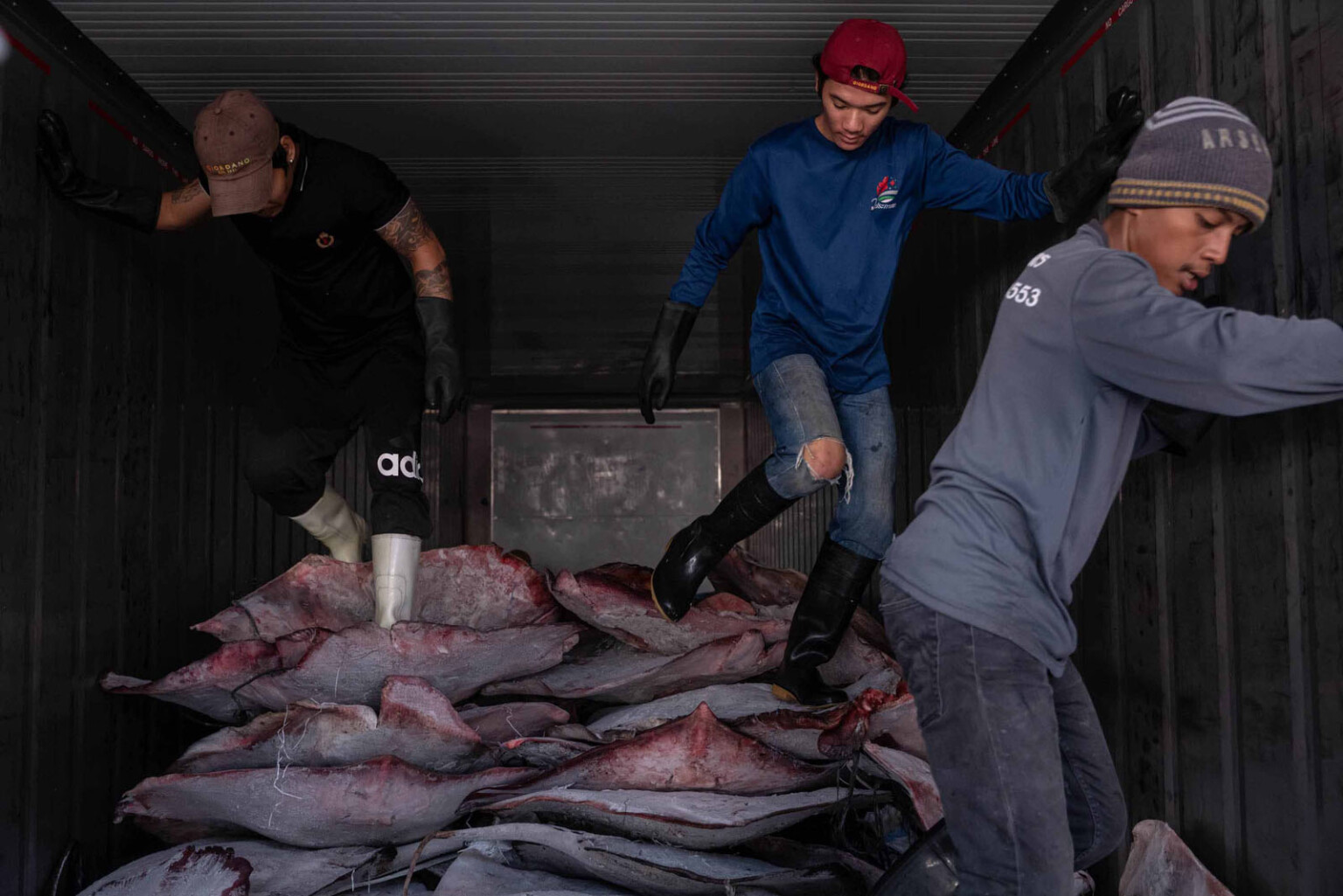 Photographer's Nine-Month Investigation Uncovers the Hidden Harm of the ...