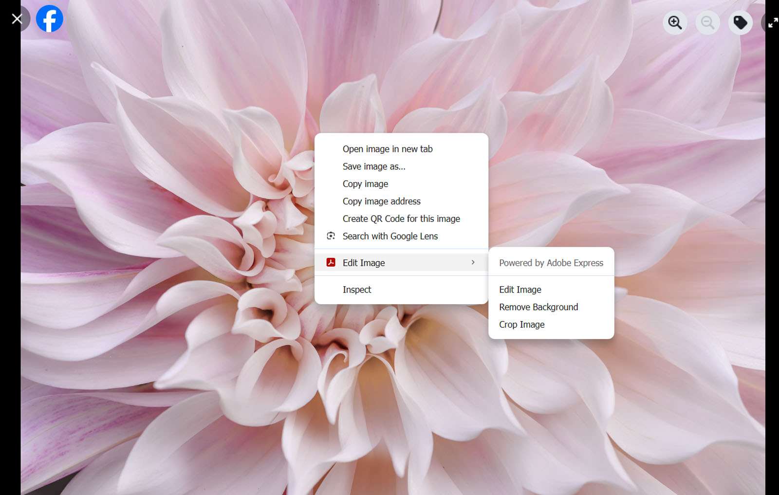 Adobe Chrome Extension That Encouraged Photo Theft Now Warns You About Stealing | PetaPixel