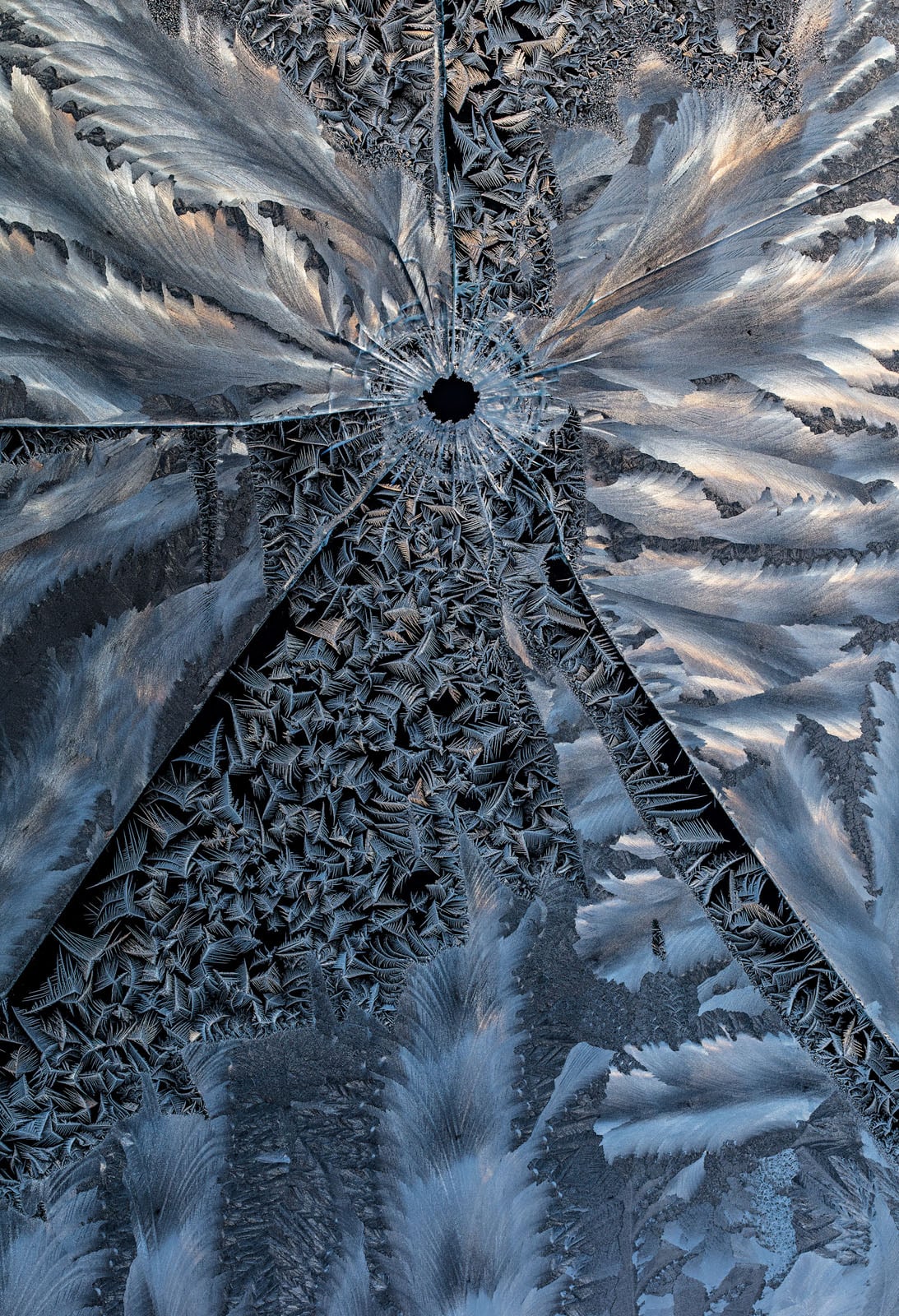 European Wildlife Photographer of the Year Winners Capture Nature's ...