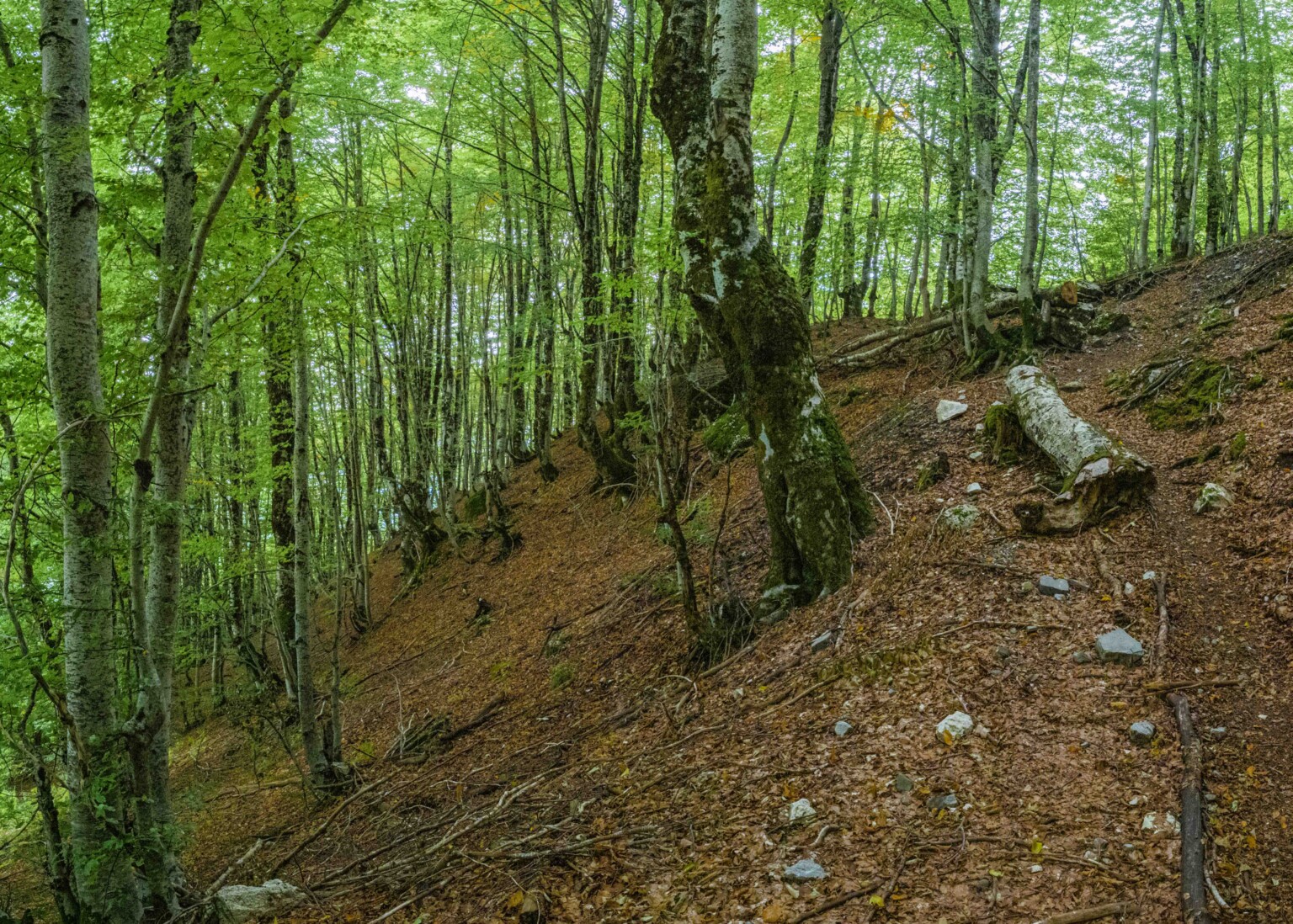 How to Easily Create Eye-Catching Panoramic Landscape Photos | PetaPixel