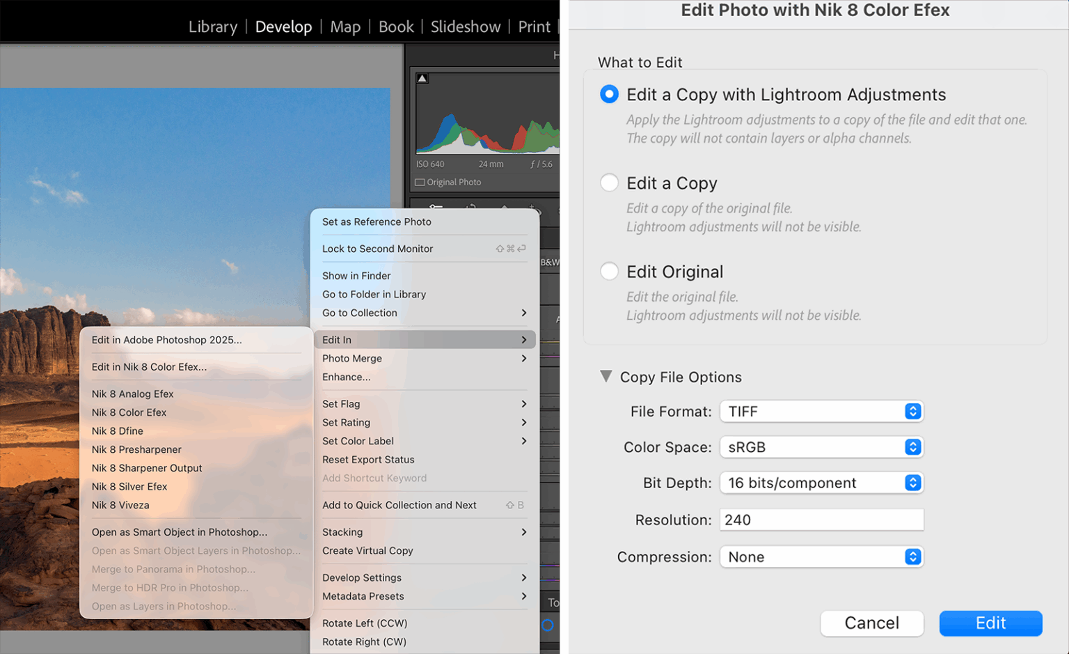 Nik Collection 8: The Ultimate Beginner's Guide to Color Efex | PetaPixel