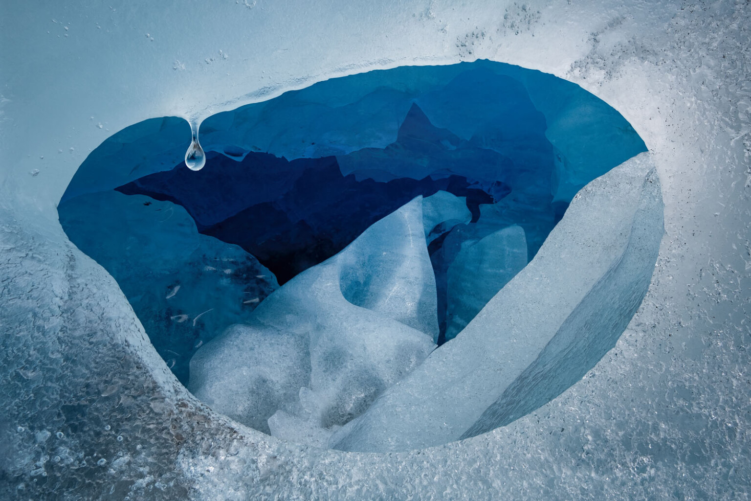 Every Winning Photo From Nature Photographer of the Year 2025 | PetaPixel