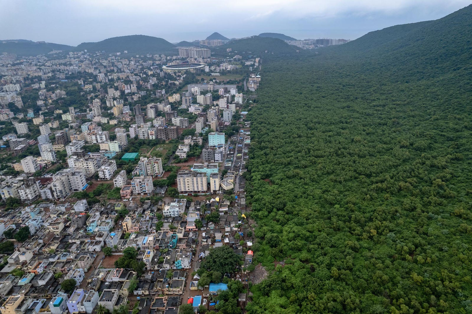 Nature inFocus Photography Awards 2025 Winners Showcase Wonderful ...