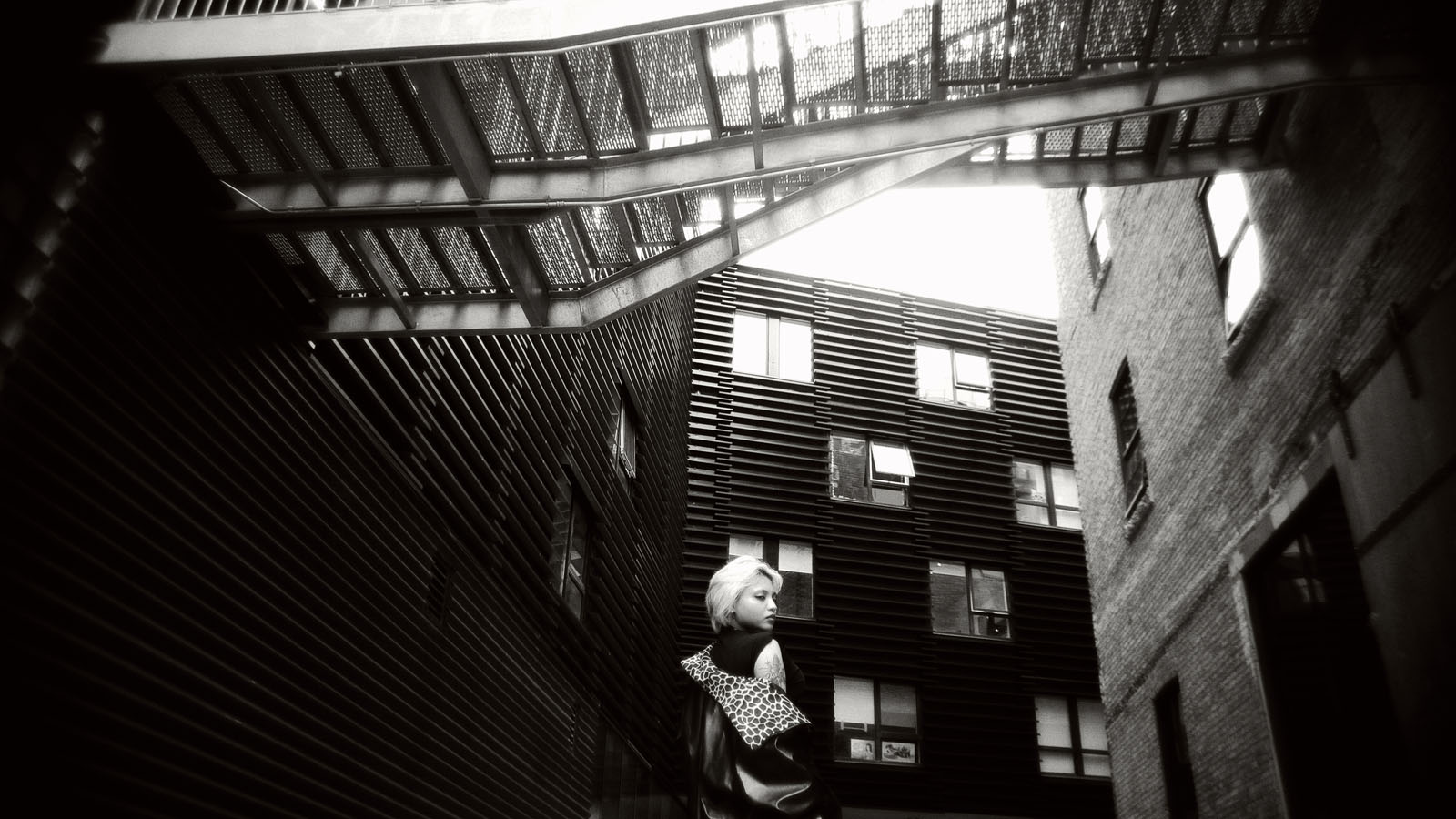 This Photographer Built a Waist-Level Monochrome Digital Camera and You ...