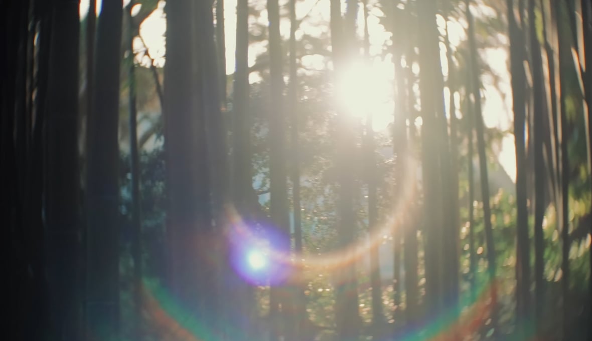 This Photographer Found a Beautiful Vintage Angenieux Lens for Just $10 ...