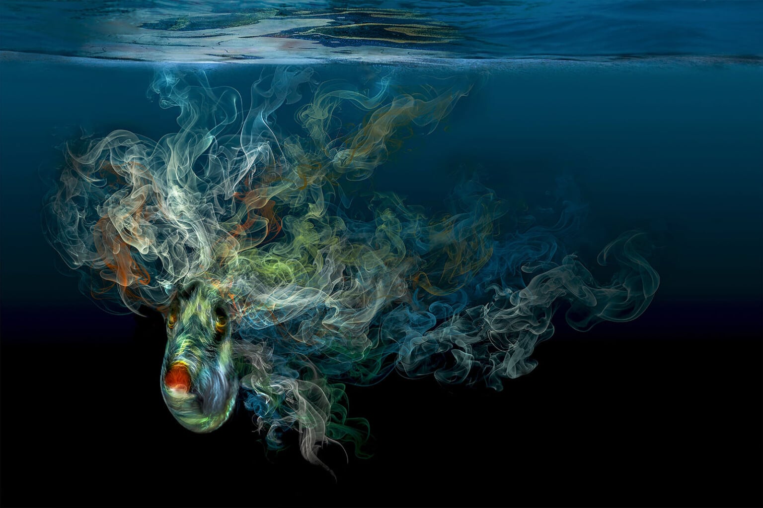 Dive Into the Spectacular 2025 Ocean Art Photo Competition Winners ...