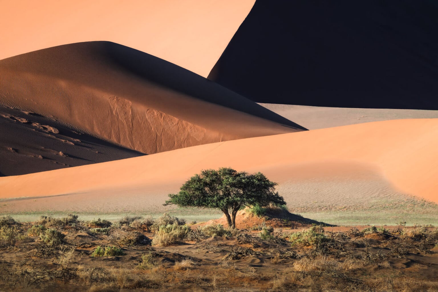 All 130 Sony Global Pictures Awards Open Pageant Winners - Photography News