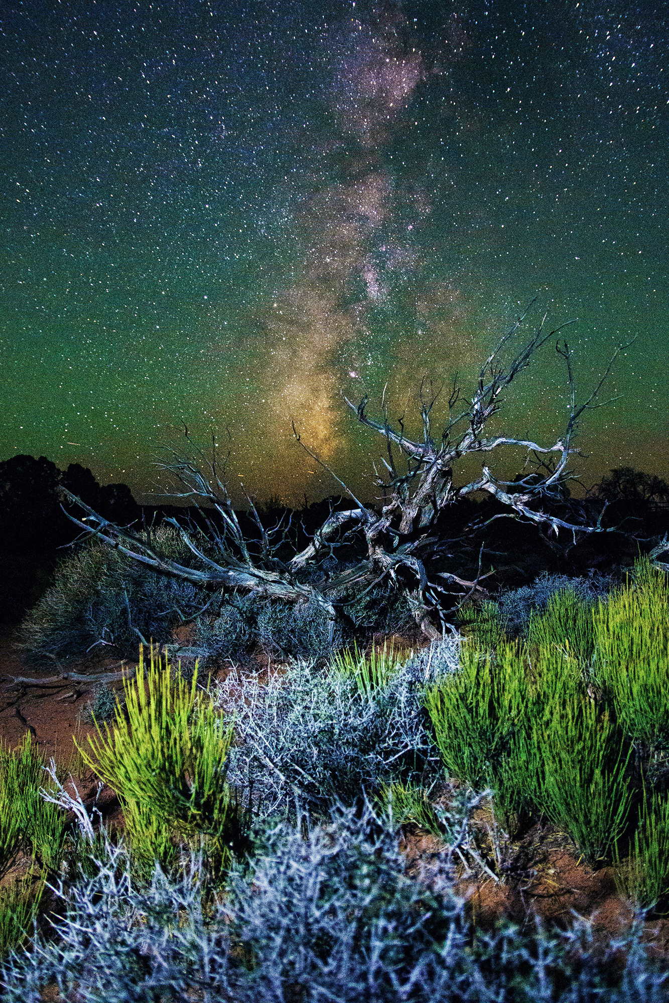 How to Capture Unique Night Sky Landscapes | PetaPixel