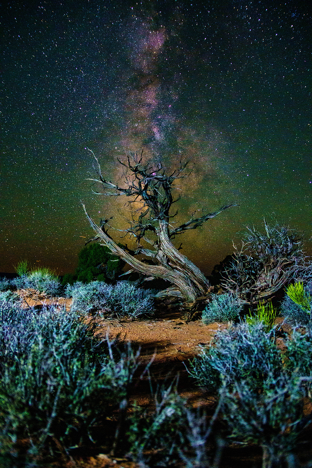 How to Capture Unique Night Sky Landscapes | PetaPixel