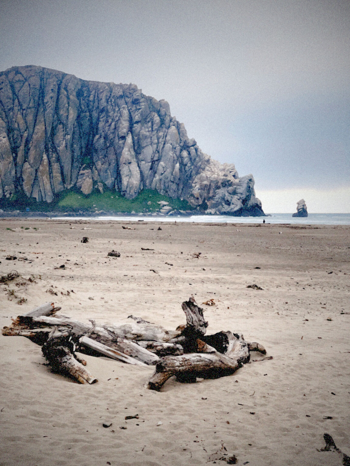Photographer's New App Gives Digital Photos a Realistic Analog ...