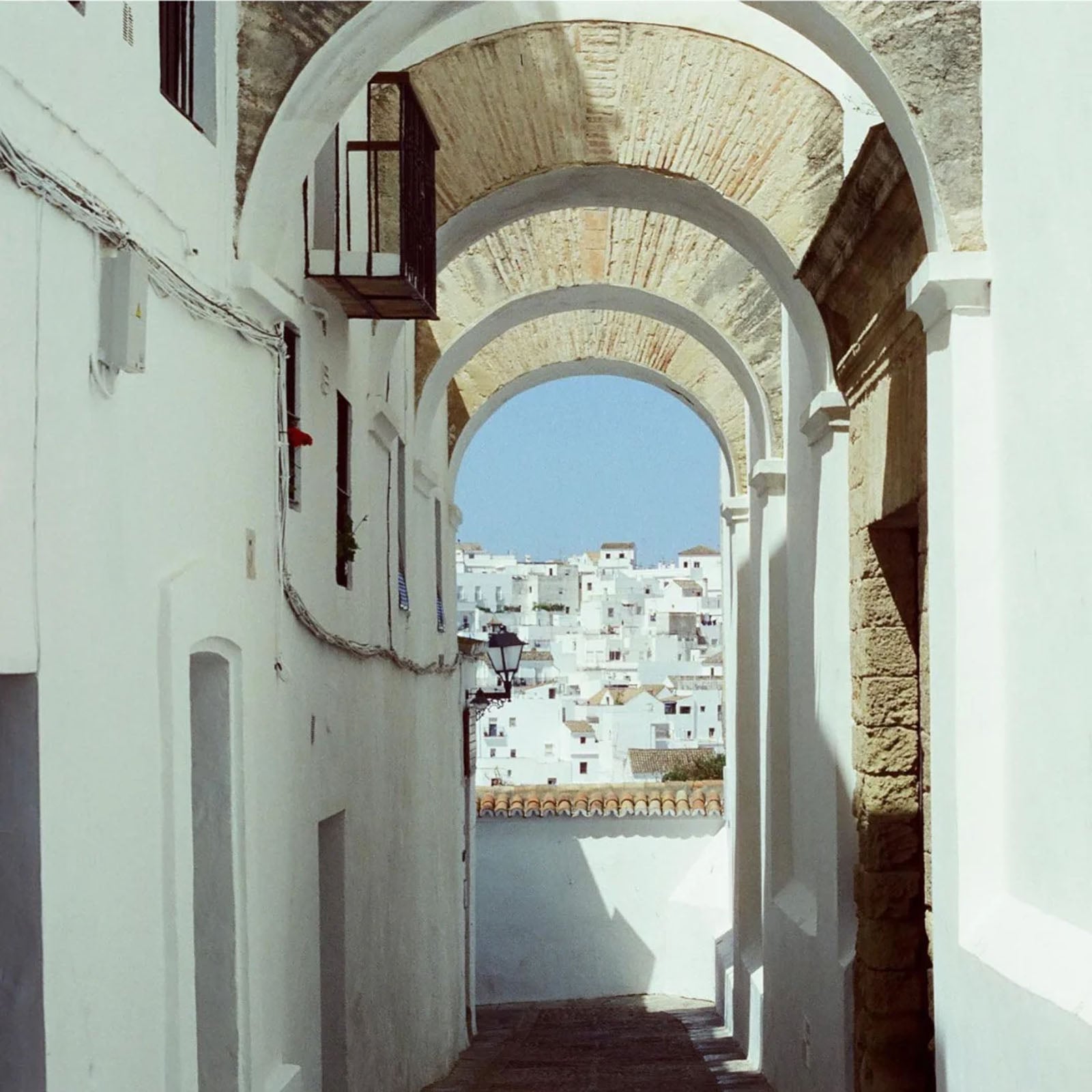 Candido Collective's Three 35mm Color Films All Look Pretty Darn Good ...