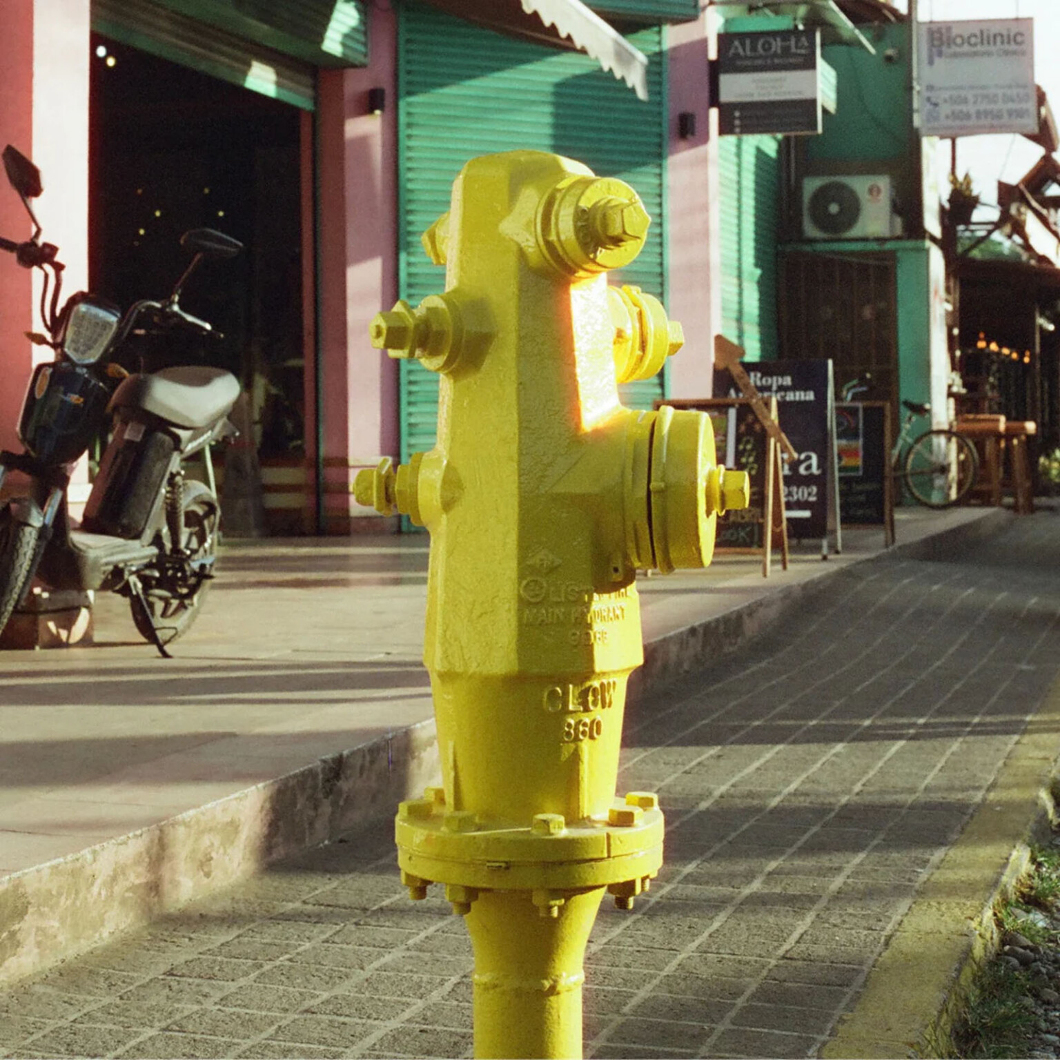Candido Collective's Three 35mm Color Films All Look Pretty Darn Good ...