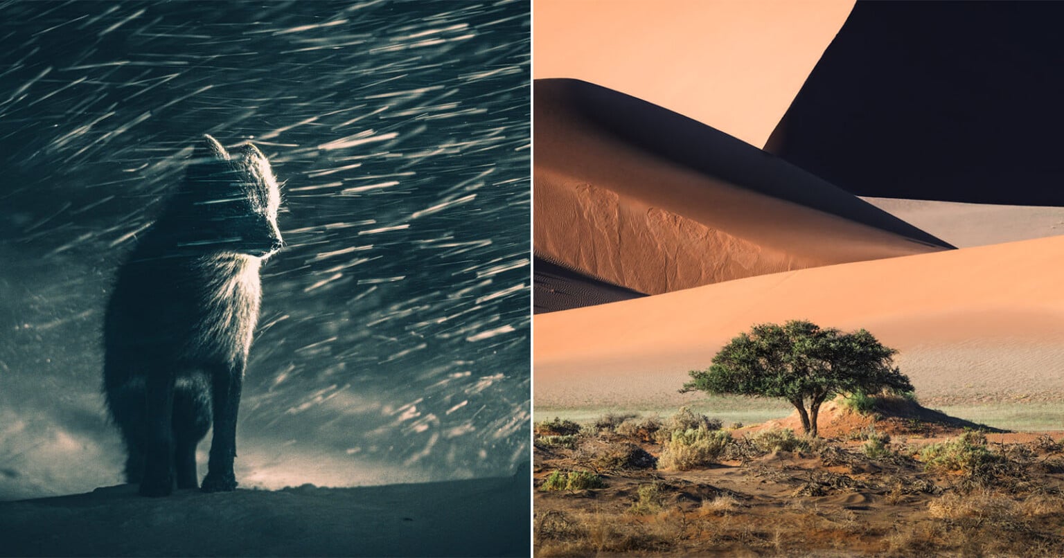 All 130 Sony World Photography Awards Open Competition Winners | PetaPixel