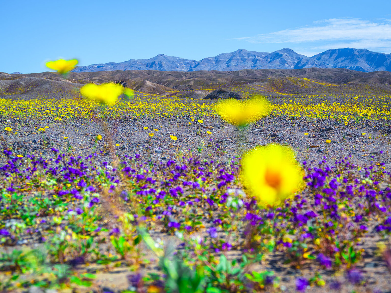 Photographer Drives 1,000 Miles to Death Valley for Spectacular ...