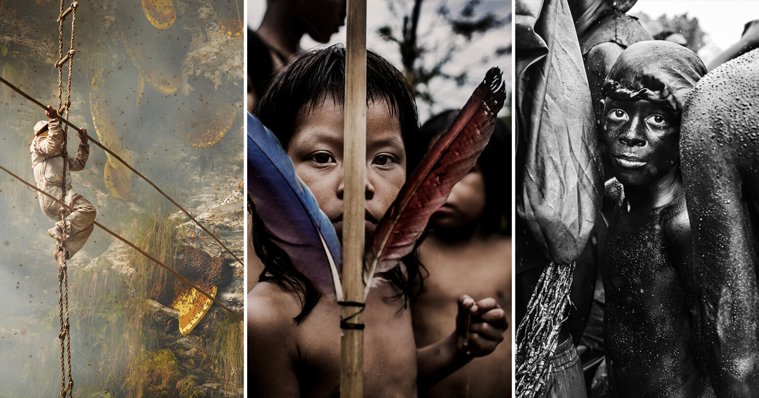 Celebrated Photographer Steve McCurry Picked the Winners of This Photo ...
